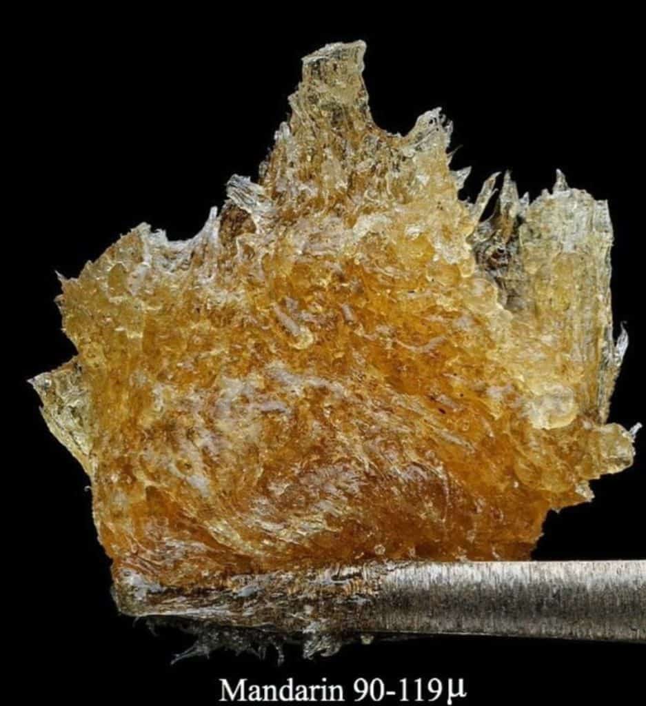 BIOVORTEX Mandarin Cream - Alpine Seed Group