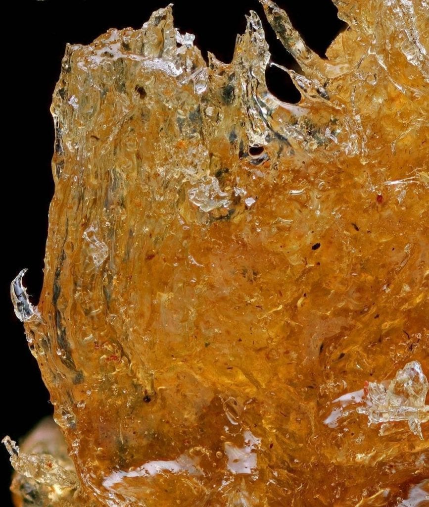 BIOVORTEX Mandarin Cream - Alpine Seed Group